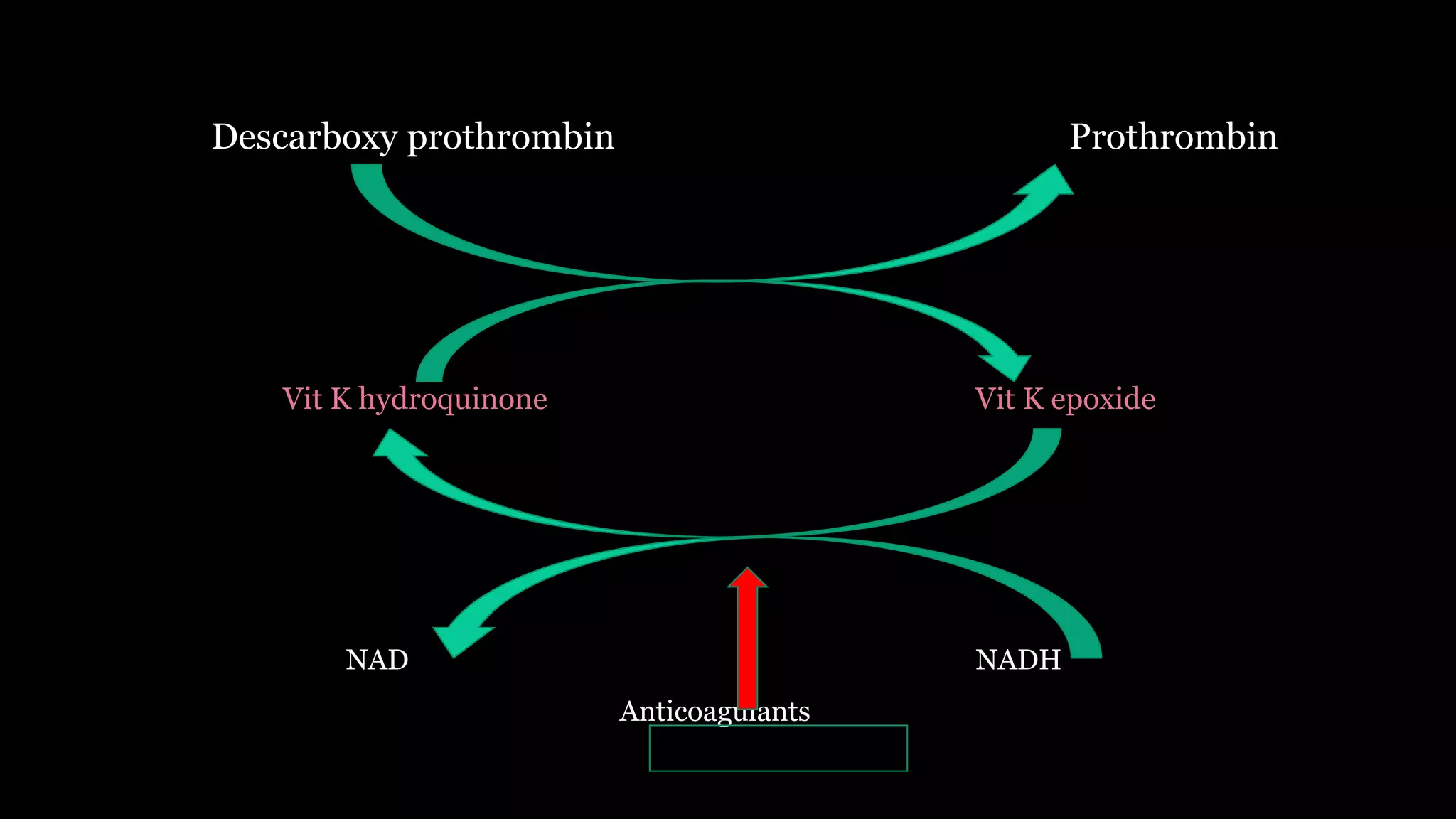 Coagulants & anticoagulants | PPTX