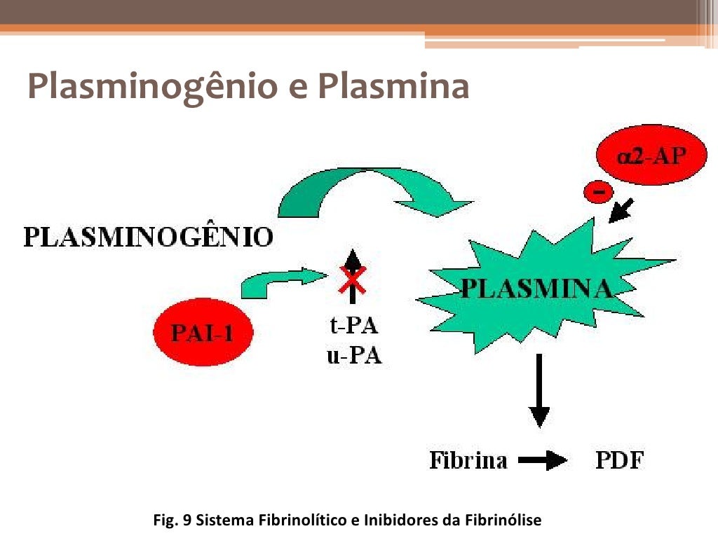 O Que é Fibrinolise - RETOEDU