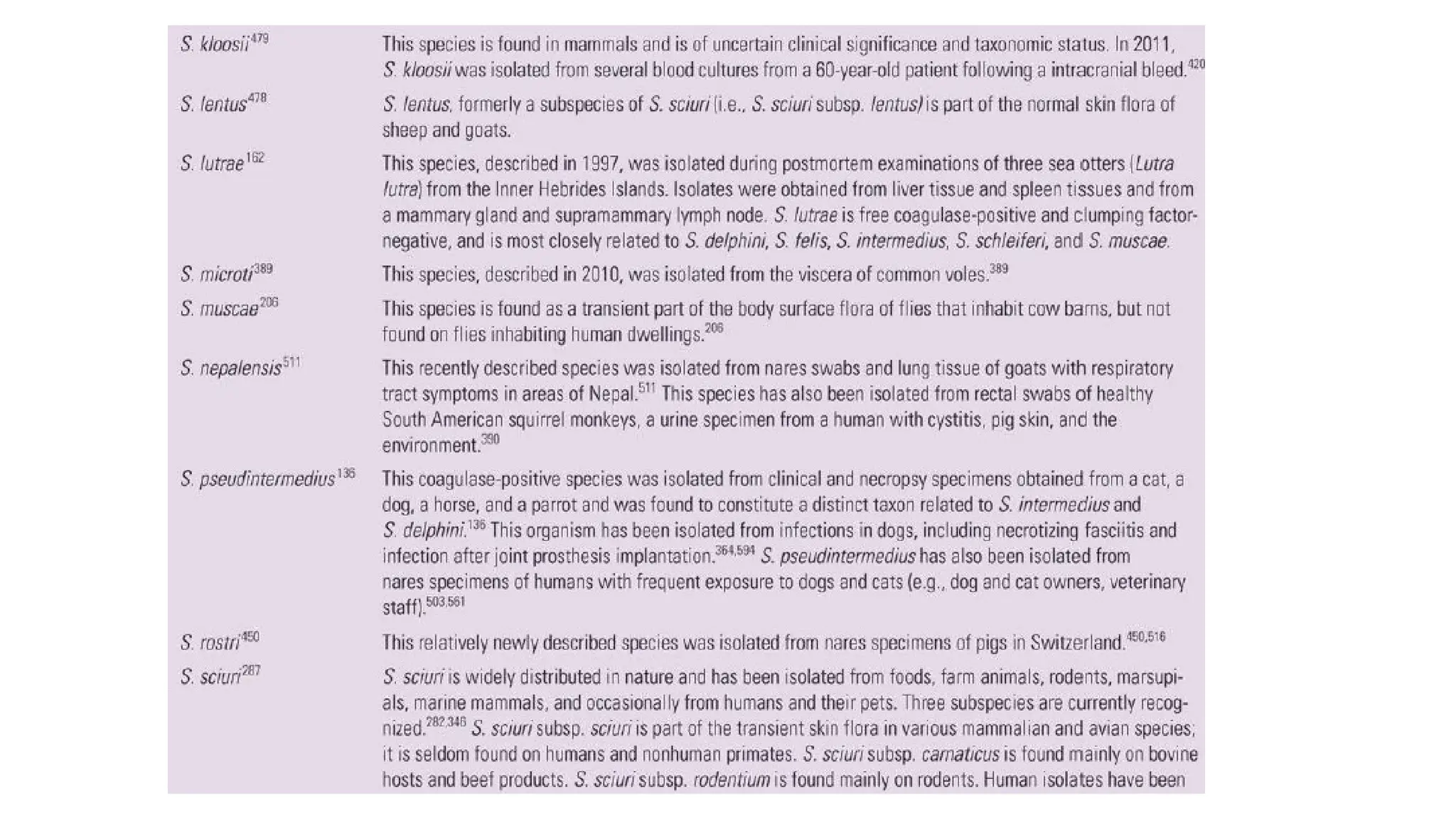 Coagulase-Negative Staphylococci (CoNS): Taxonomy, Pathogenesis ...