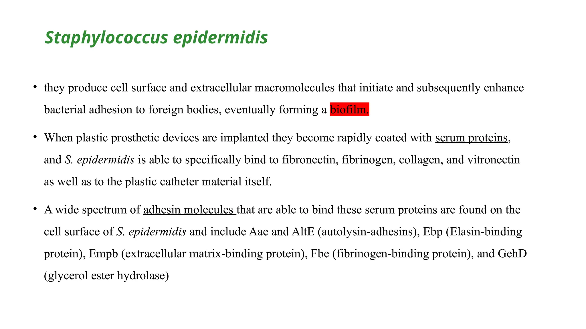 Coagulase-Negative Staphylococci (CoNS): Taxonomy, Pathogenesis ...