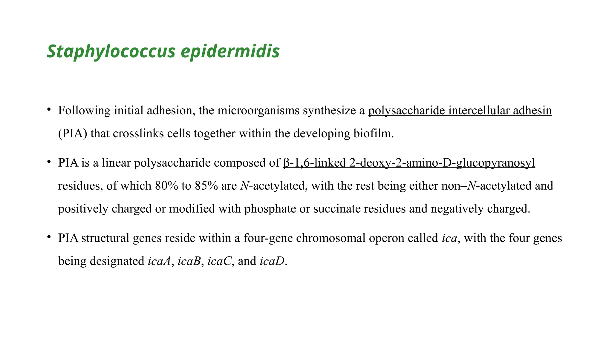 Coagulase-Negative Staphylococci (CoNS): Taxonomy, Pathogenesis ...