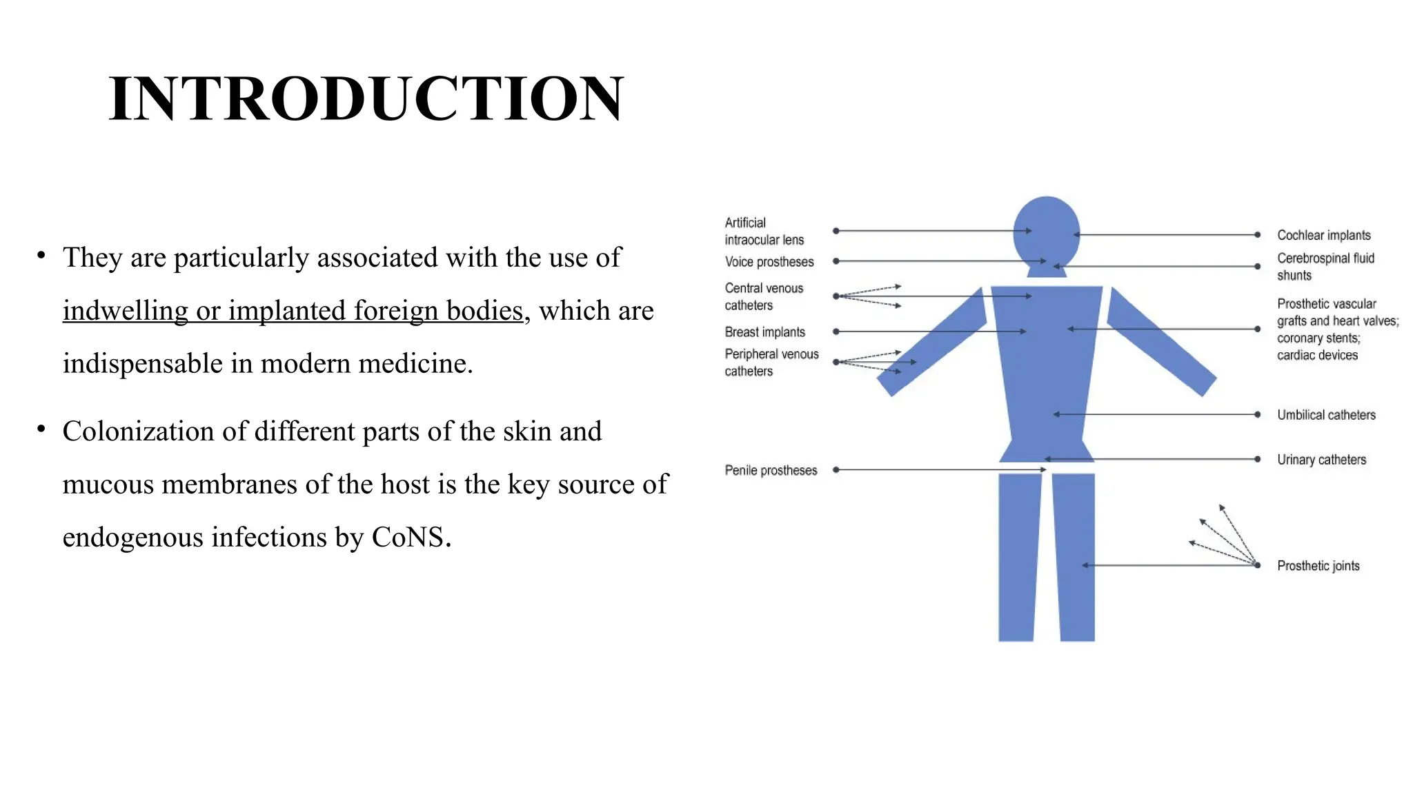 Coagulase-Negative Staphylococci (CoNS): Taxonomy, Pathogenesis ...