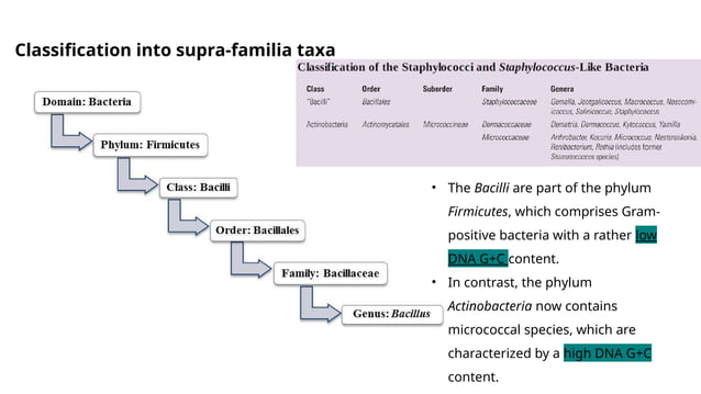 Coagulase-Negative Staphylococci (CoNS): Taxonomy, Pathogenesis ...