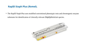 Coagulase-Negative Staphylococci (CoNS): Taxonomy, Pathogenesis ...