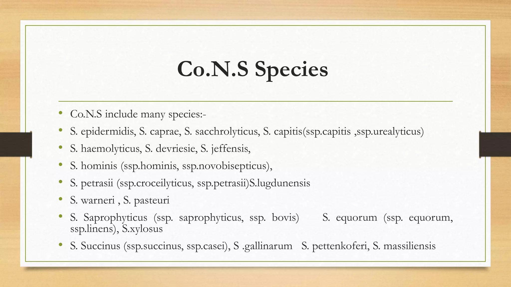 Coagulase negative staphylococci | PPTX