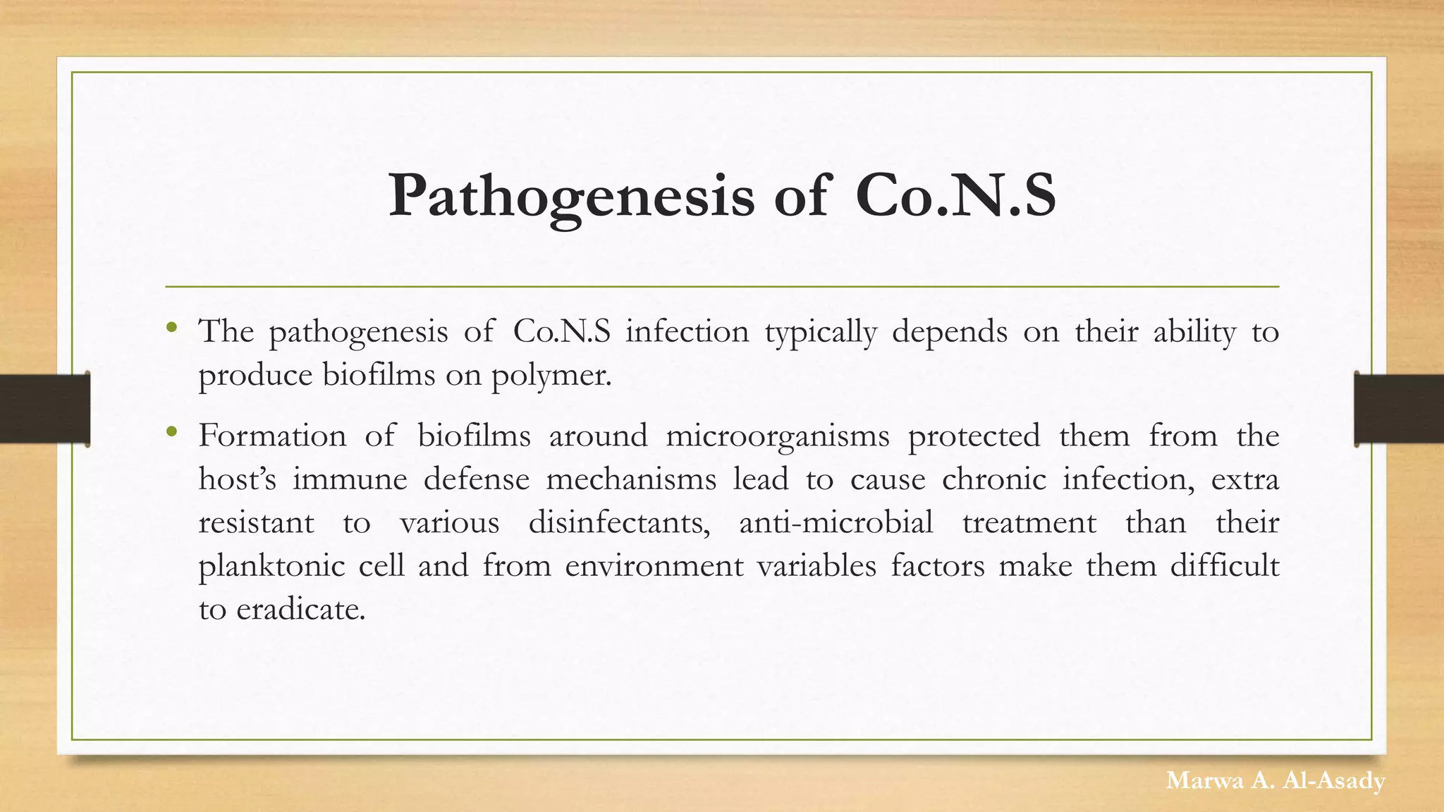 Coagulase negative staphylococci | PPTX