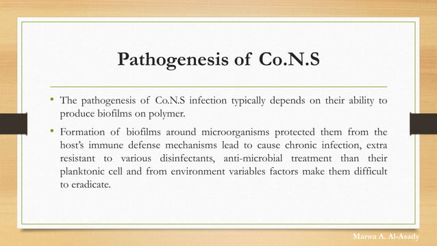 Coagulase negative staphylococci | PPTX