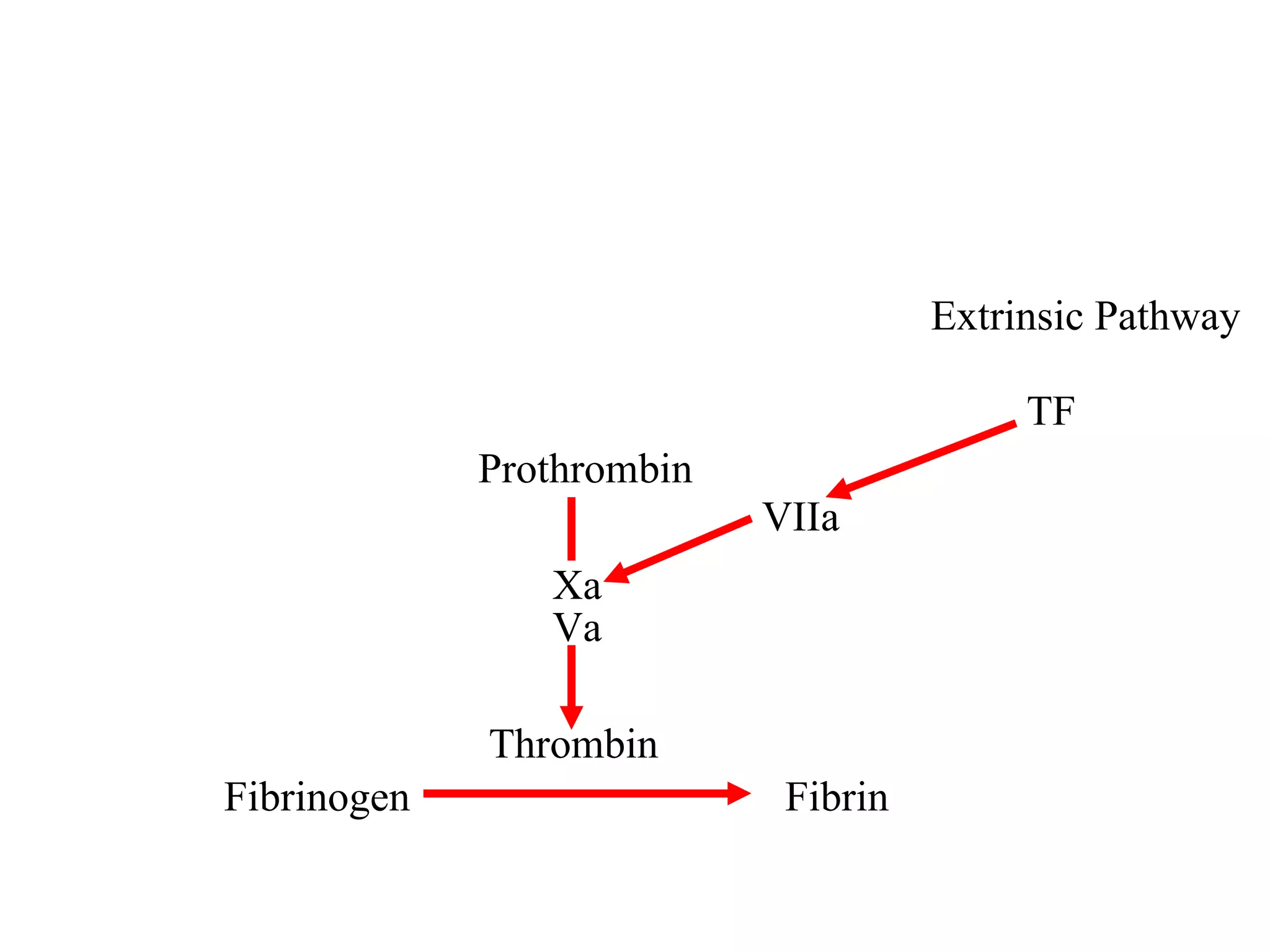 Coagulation | PPT