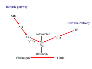 Coagulation Cascade Simple