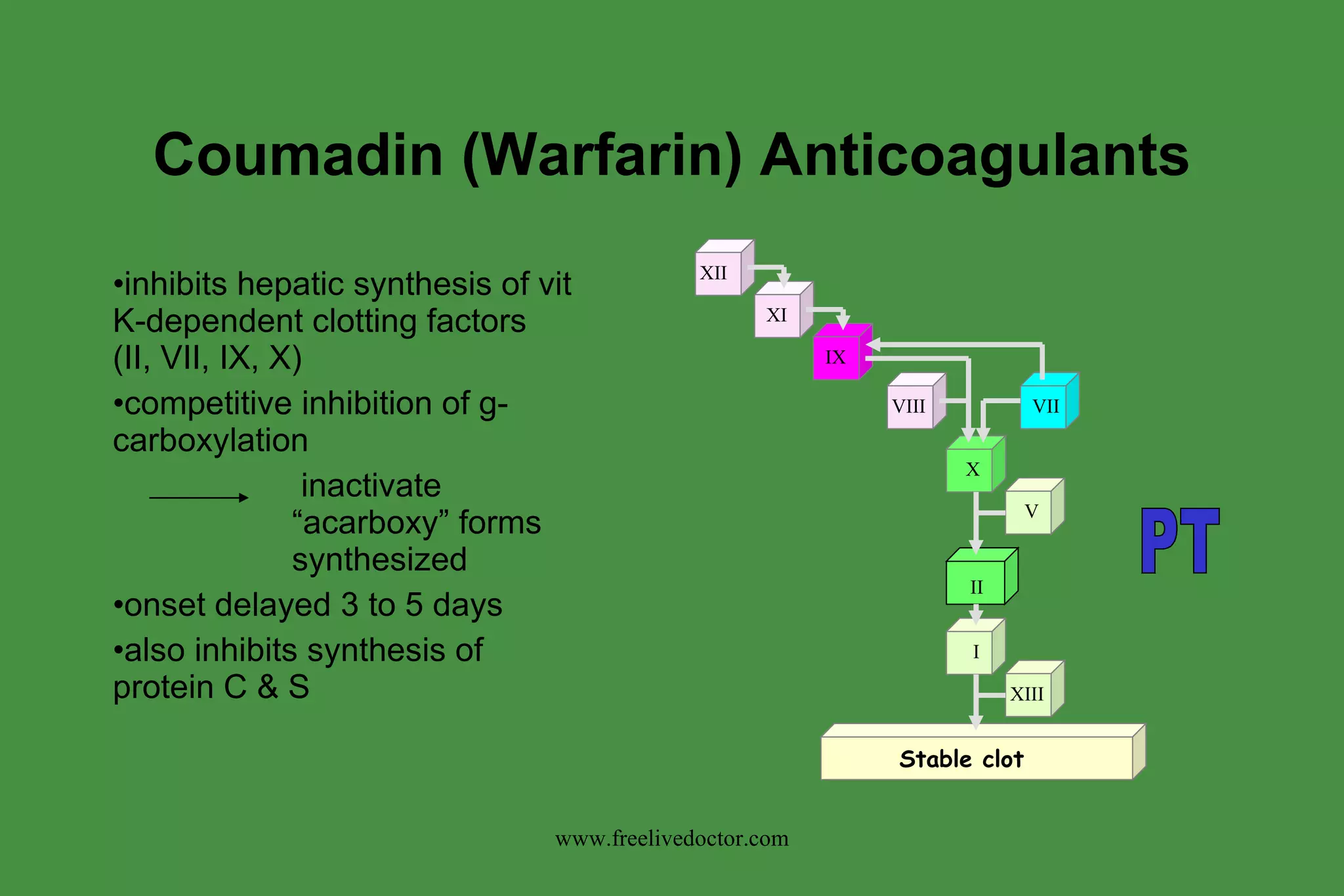 Coagulation | PPT