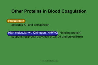 Coagulation | PPT