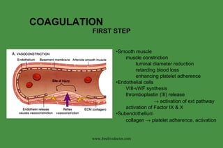 Coagulation | PPT