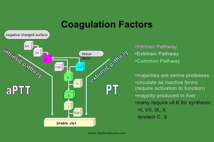 Coagulation