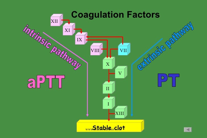 Coagulation