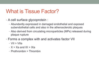 Coagulation | PPTX