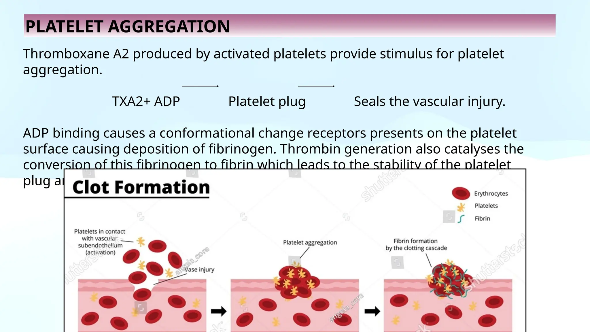 coagulation in paediatric dentistry of children | PPTX