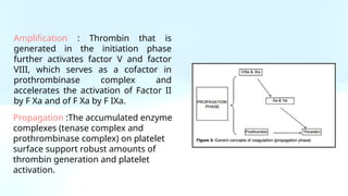 coagulation in paediatric dentistry of children | PPTX