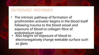 Coagulation of blood on the topic of physiology | PPTX