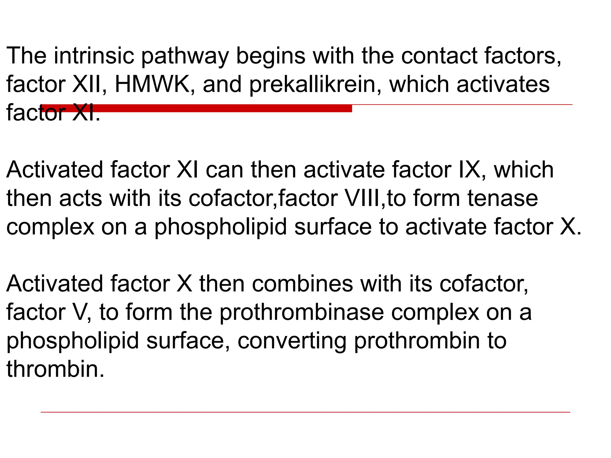 Coagulation-Cascade lec 8.pptx Coagulation-Cascade lec 8.pptx
