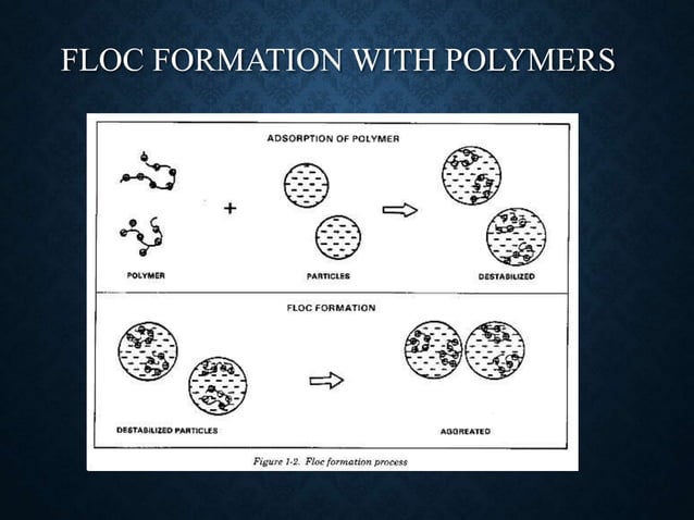 Coagulation and flocculation | PPTX | Chemistry | Science