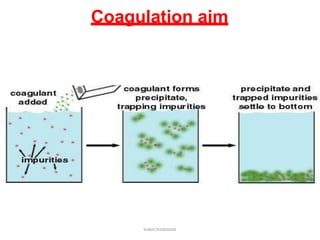 Water treatment process | PPTX