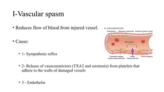 Coagulation and Hemostatsis in human body | PPTX