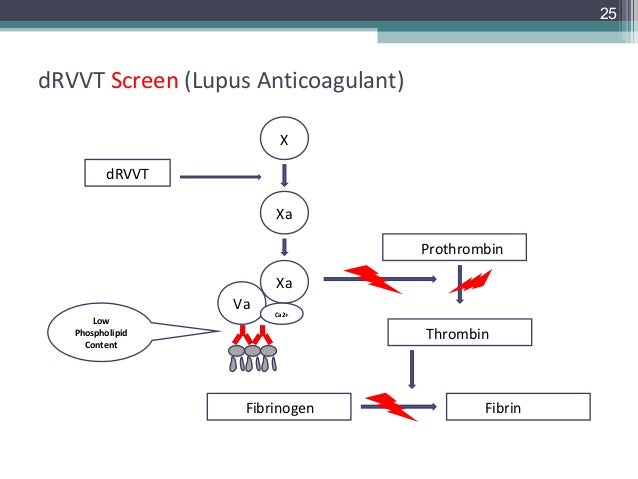 Coagulation assays