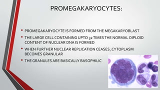 Physiology of Coagulation for UG students | PPTX