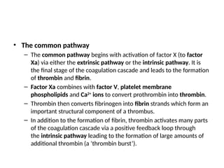 Comprehensive Overview of the Coagulation Cascade and Hemostasis ...