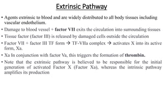 Coagulation cascade & Fibrinolytic Mechanisms.PPTX