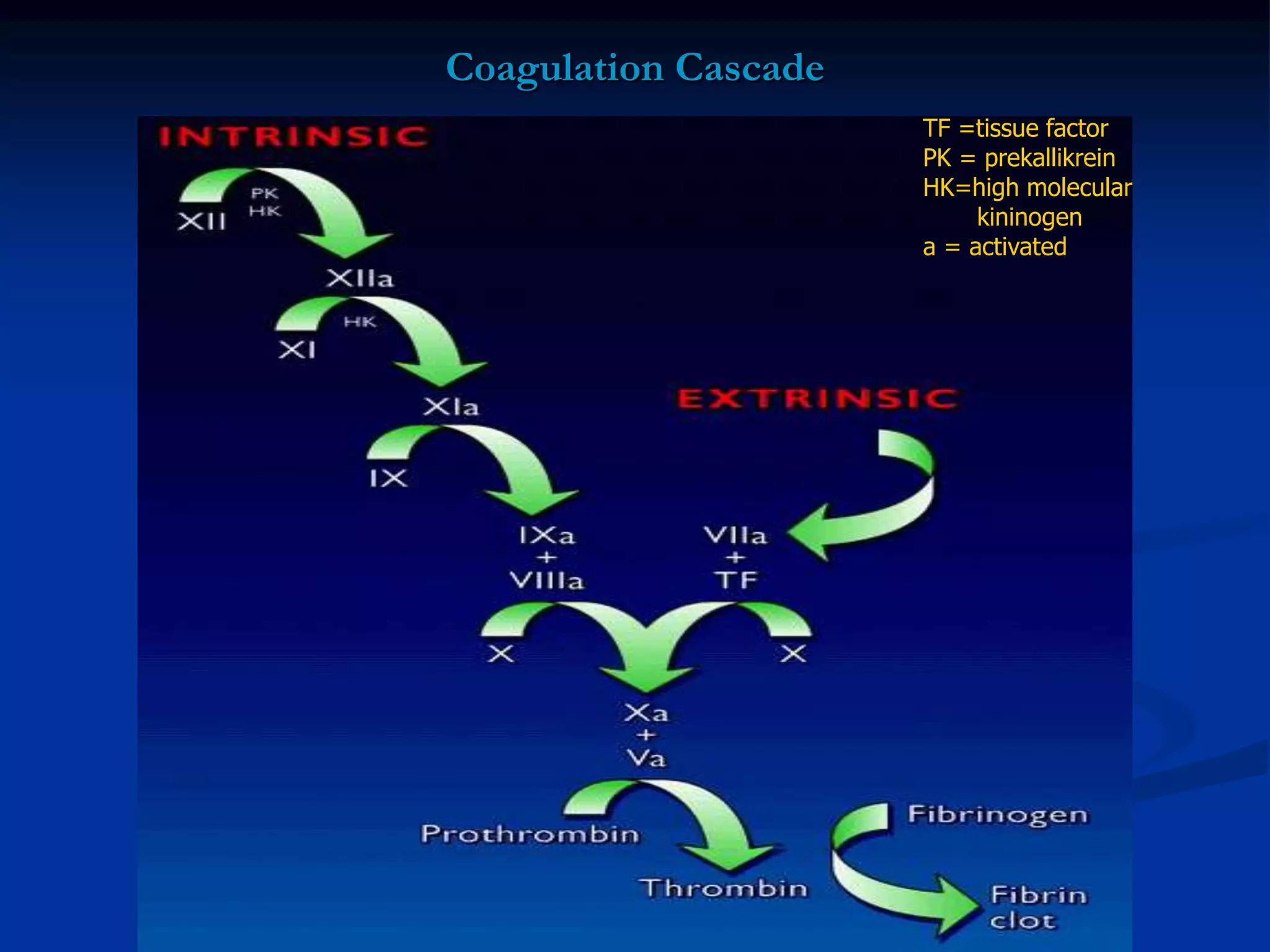 Coagulation disorders | PPTX