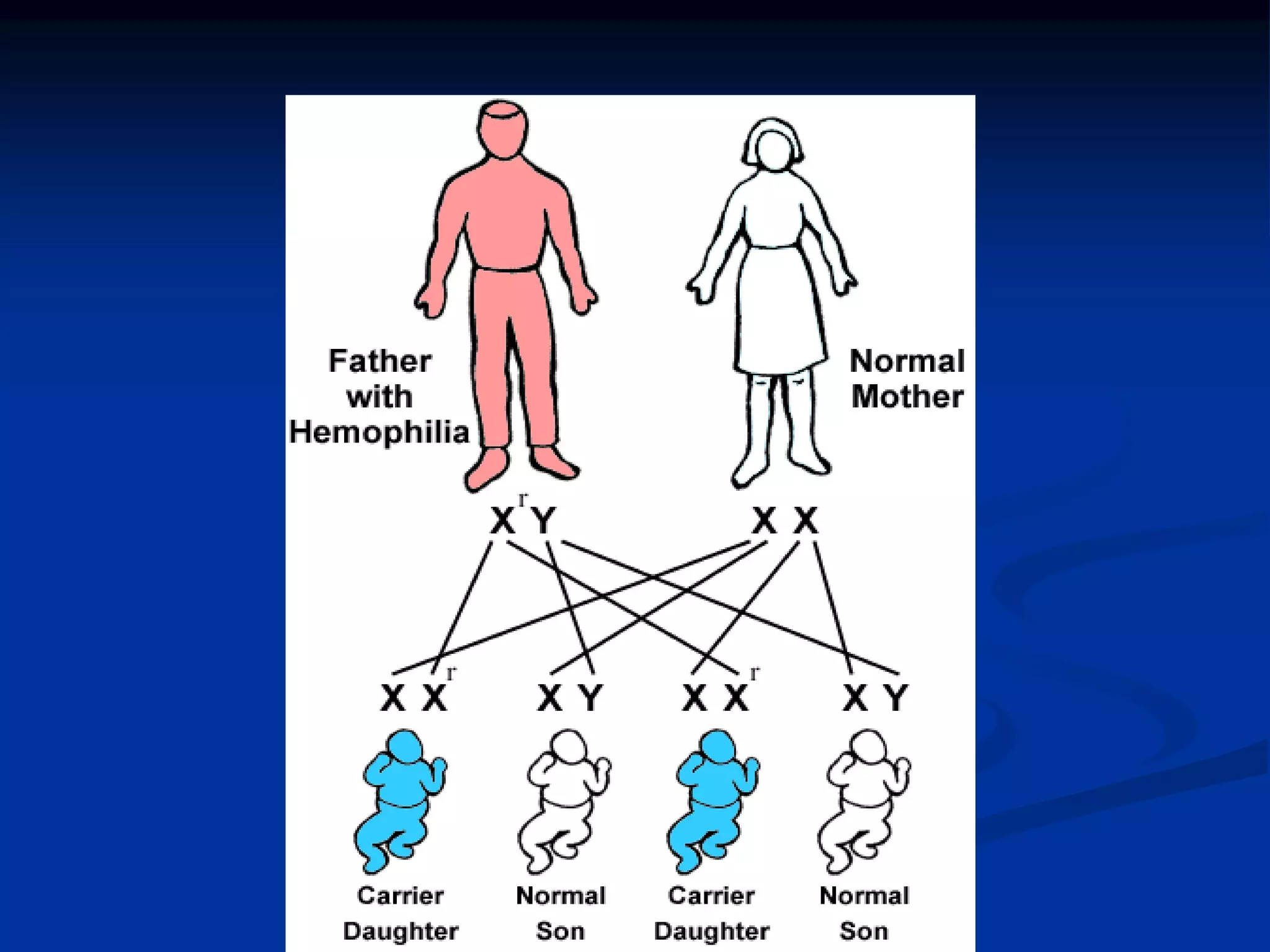 Coagulation disorders | PPTX