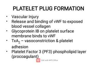 coagulation disorders.pdf
