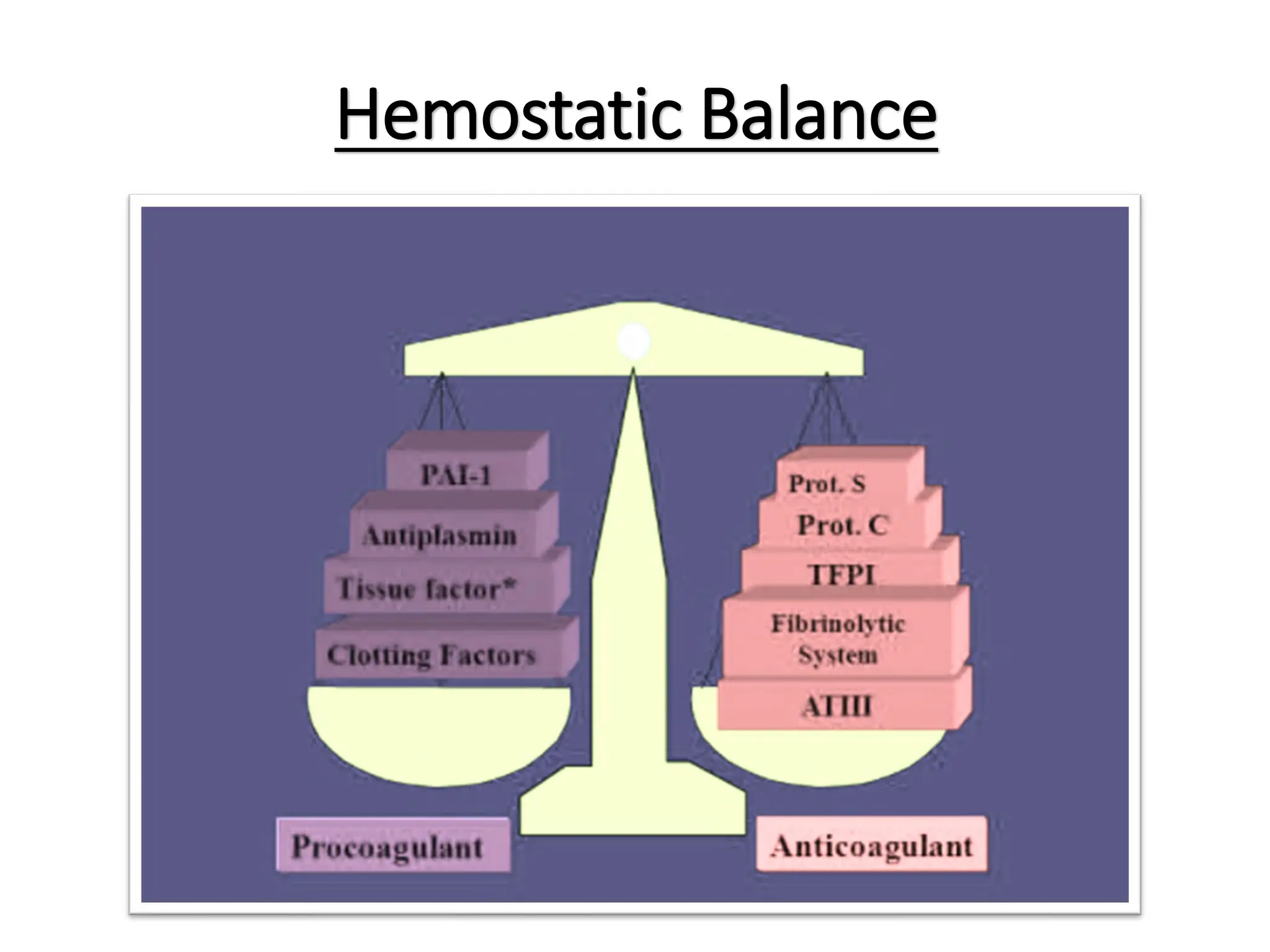 Hemostasis and Coagulation Disorders.pdf