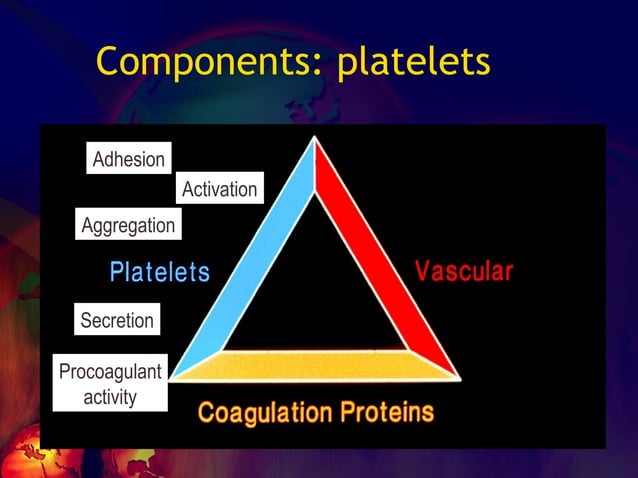 Coagulation Disorders and Anesthesia-Basic pathophysiology | PPT