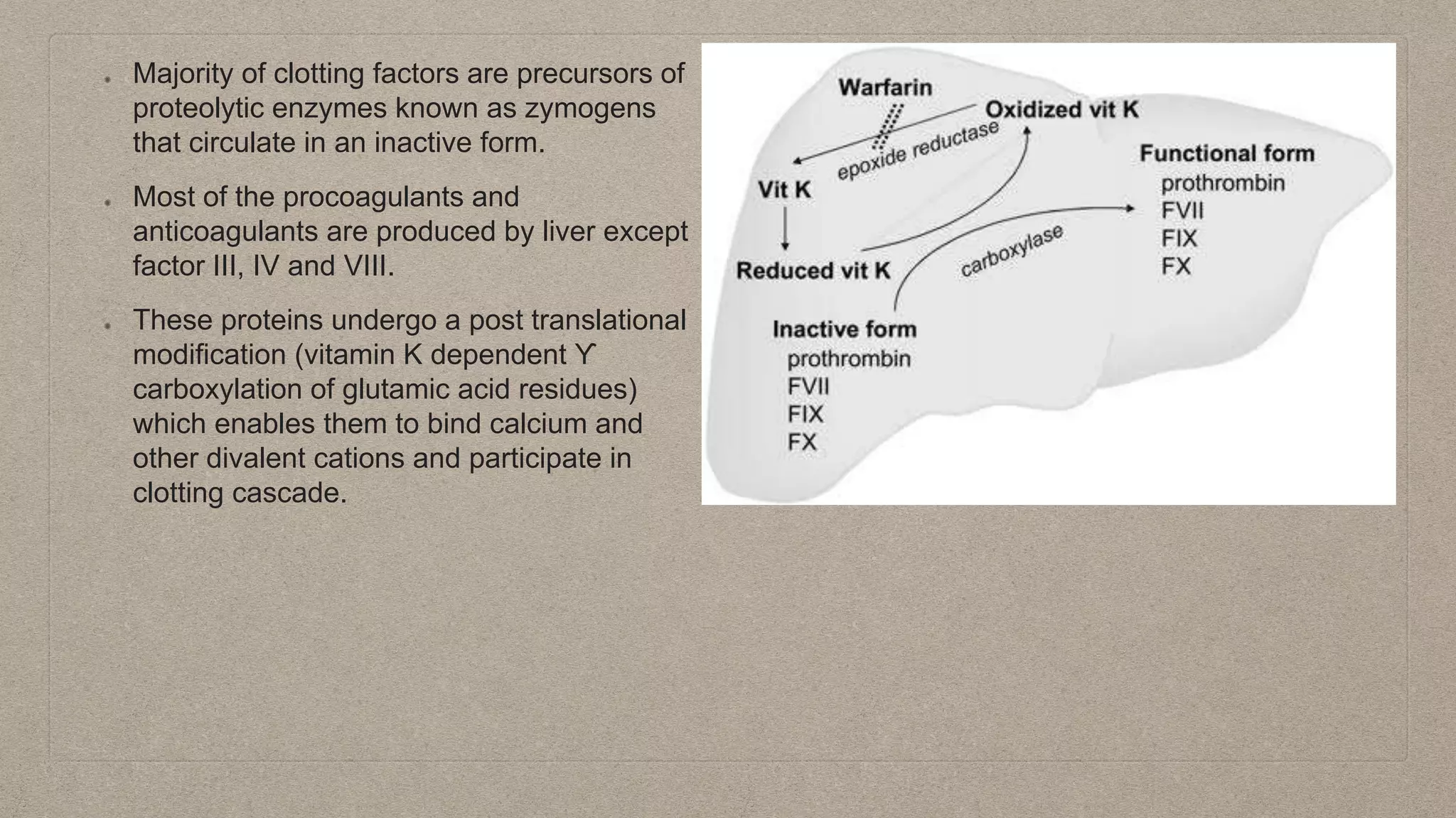 Coagulation factors 8 to 13.pptx