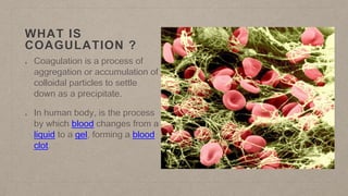 Coagulation factors 8 to 13.pptx