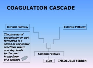Coagulation Haemostasis - Copy1.ppt