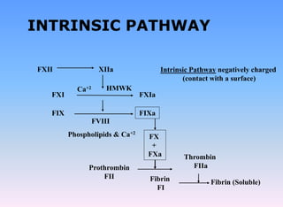Coagulation Haemostasis - Copy1.ppt
