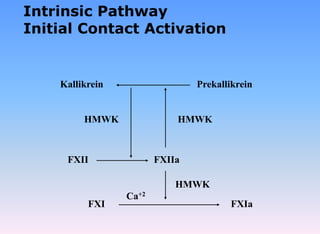Coagulation Haemostasis - Copy1.ppt