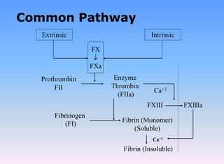 Coagulation Haemostasis - Copy1.ppt