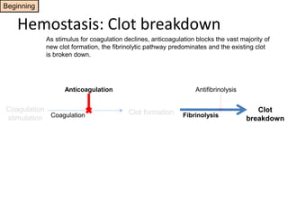 Coagulation and hemostasis | PPTX