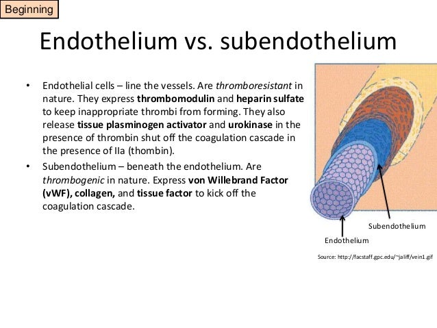 Coagulation and hemostasis