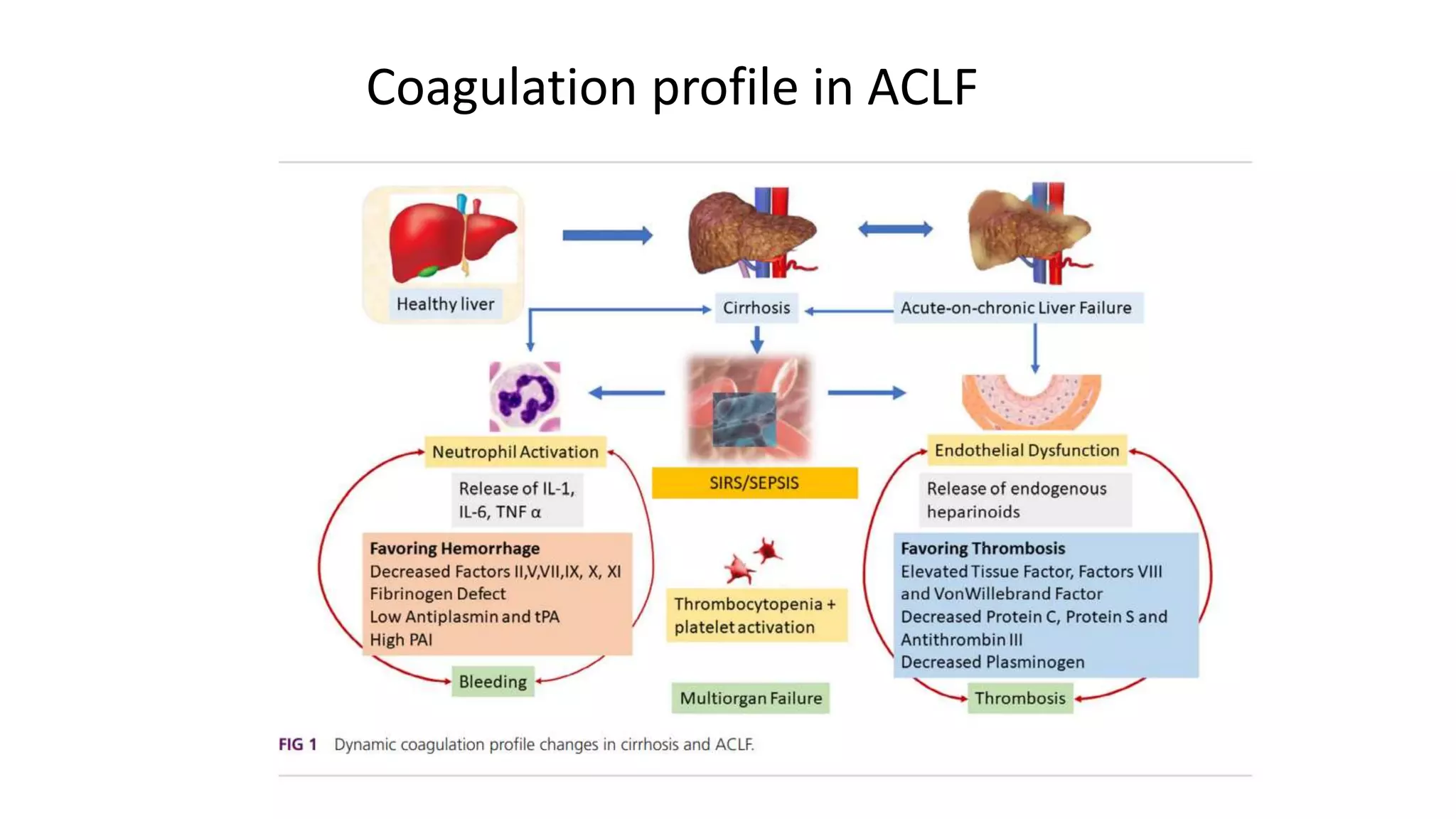 coagulation in CLD ppt.pptx