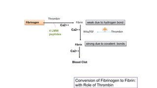 coagulation in CLD ppt.pptx