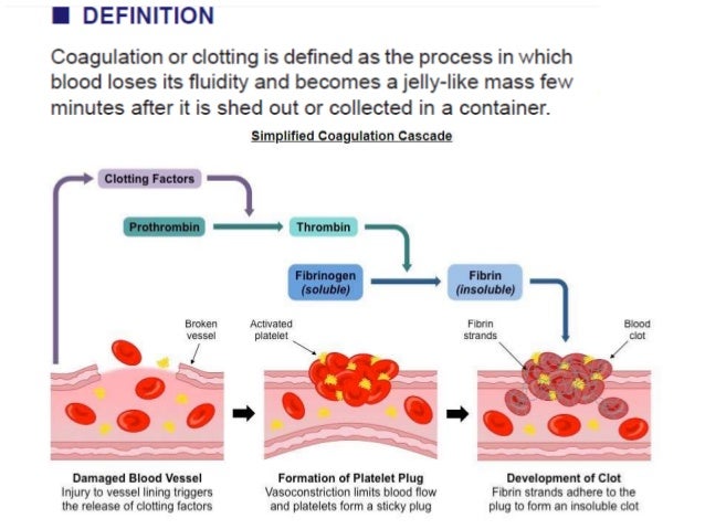 Coagulation mechanism