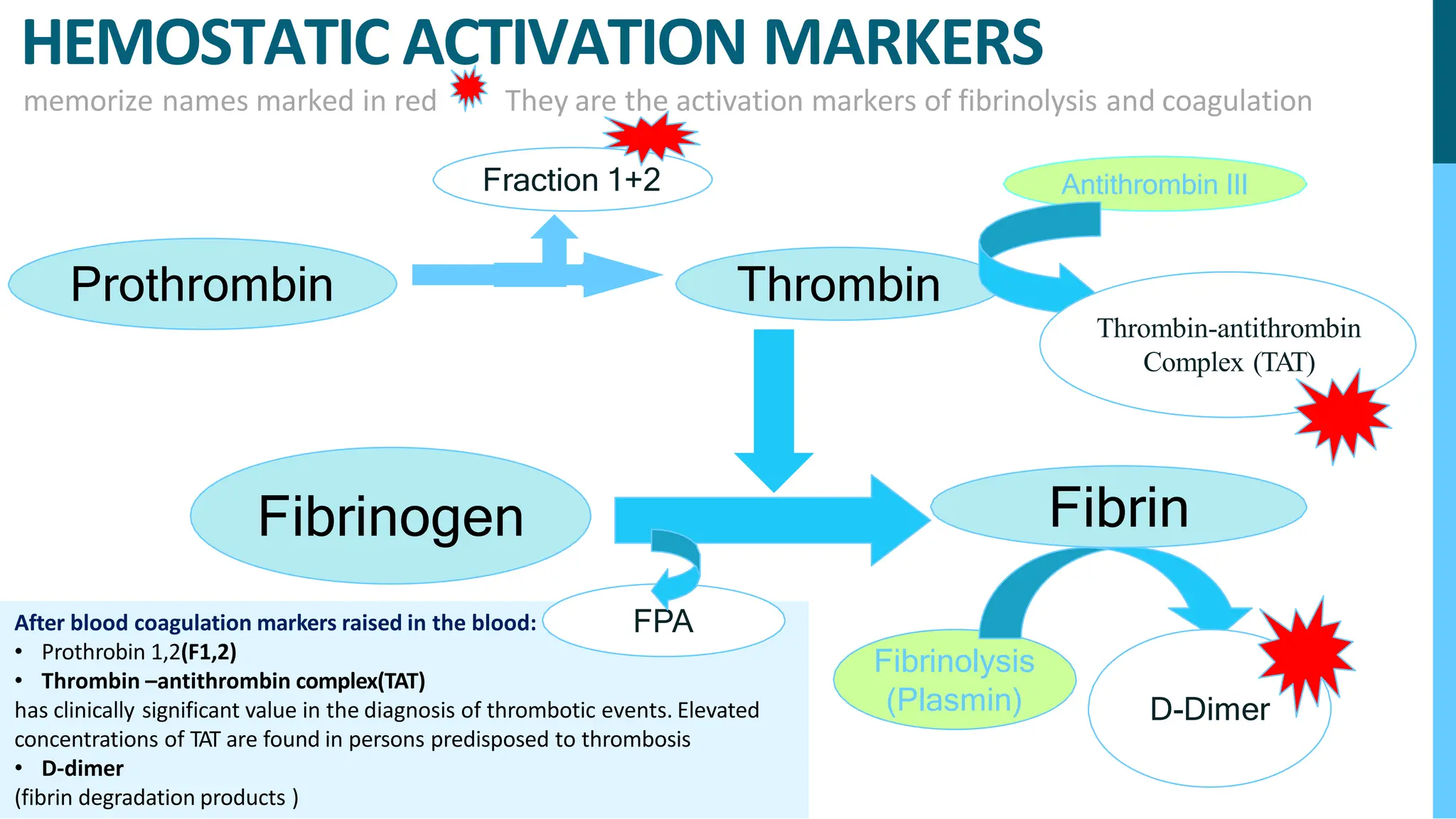 Coagulation Mechanism and blood disorders | PPTX
