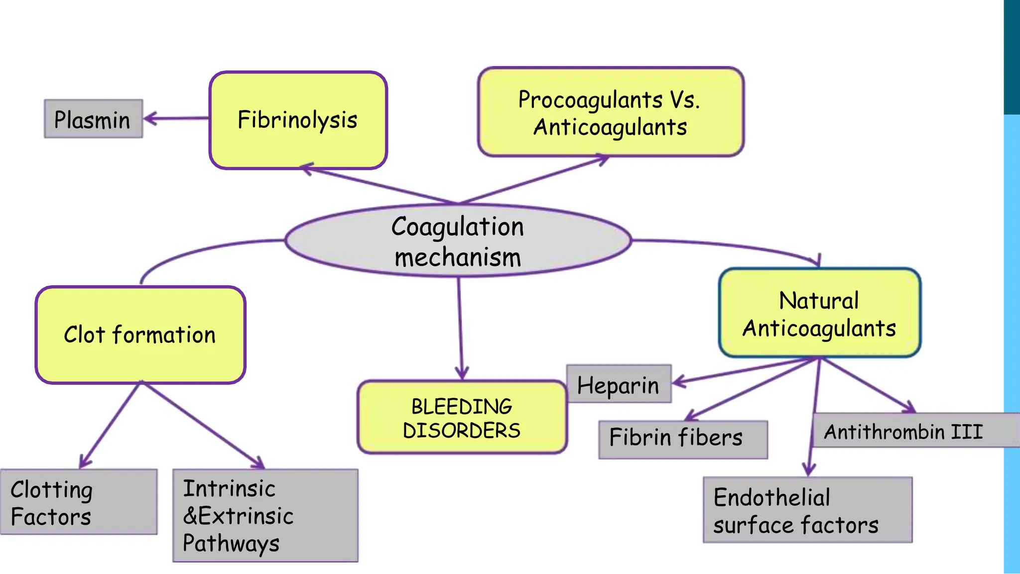 Coagulation Mechanism and blood disorders | PPTX