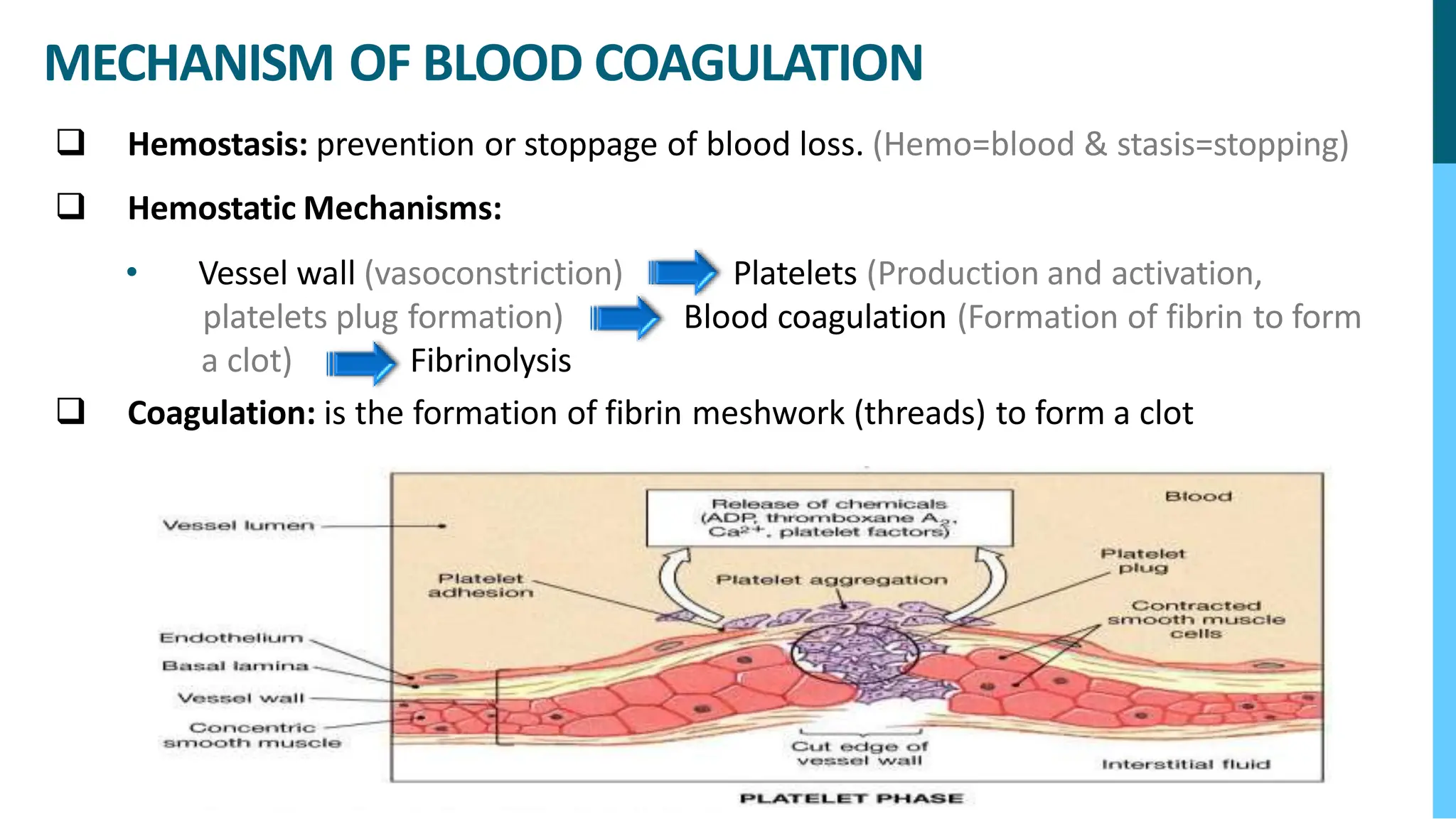 Coagulation Mechanism and blood disorders | PPTX
