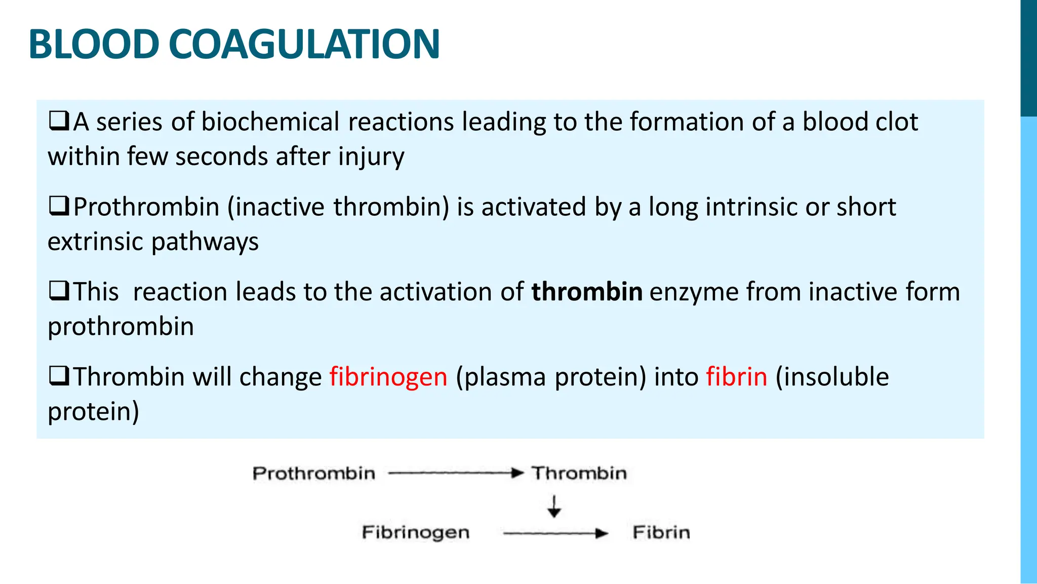 Coagulation Mechanism and blood disorders | PPTX